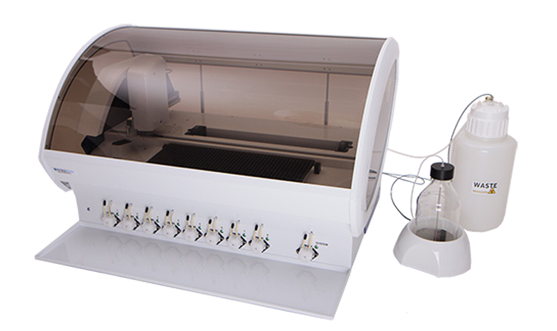 LINE Immunoblot - AB Scientific